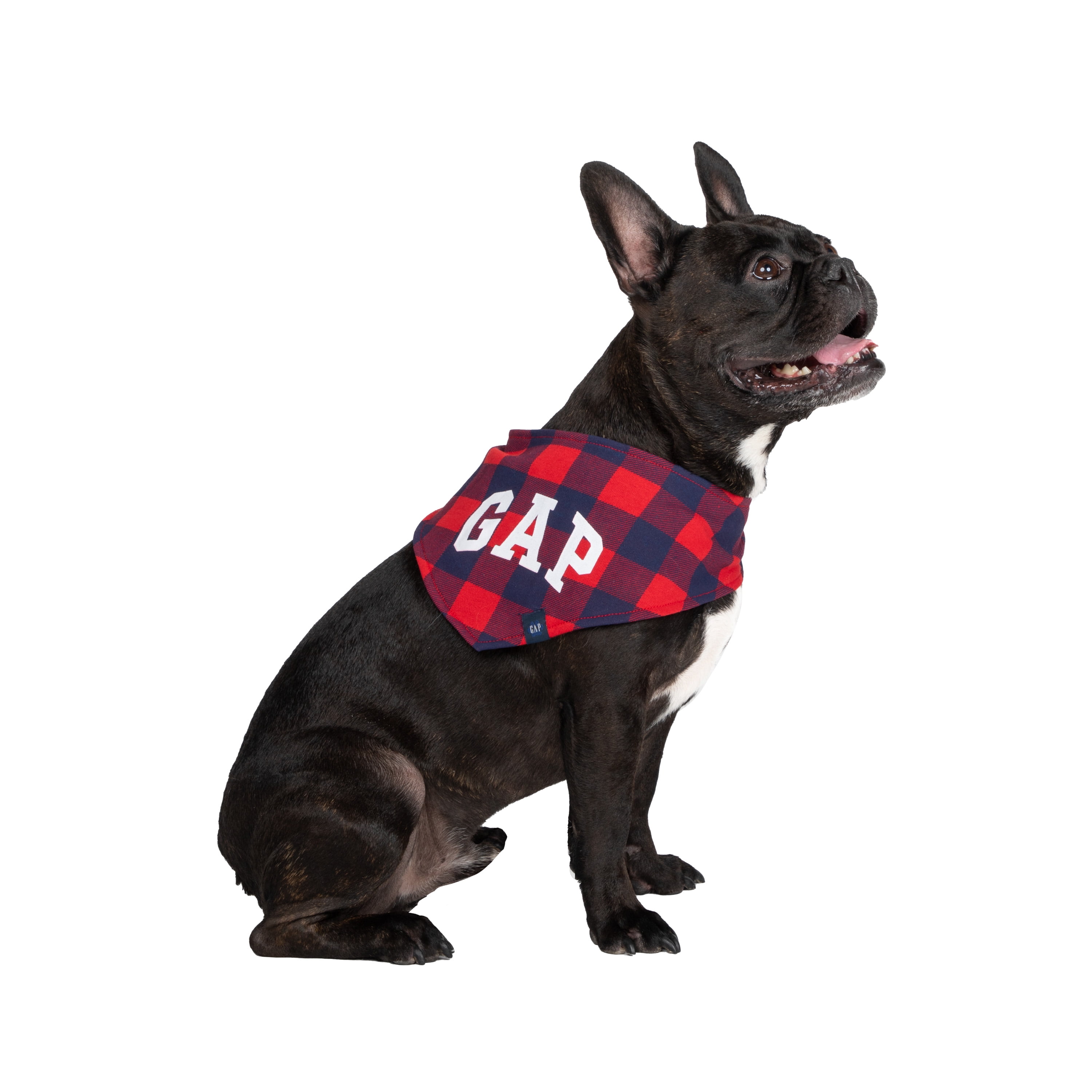 Gap Pet, Dog Clothes, Buffalo Plaid Dog Bandana, Red - Walmart.com