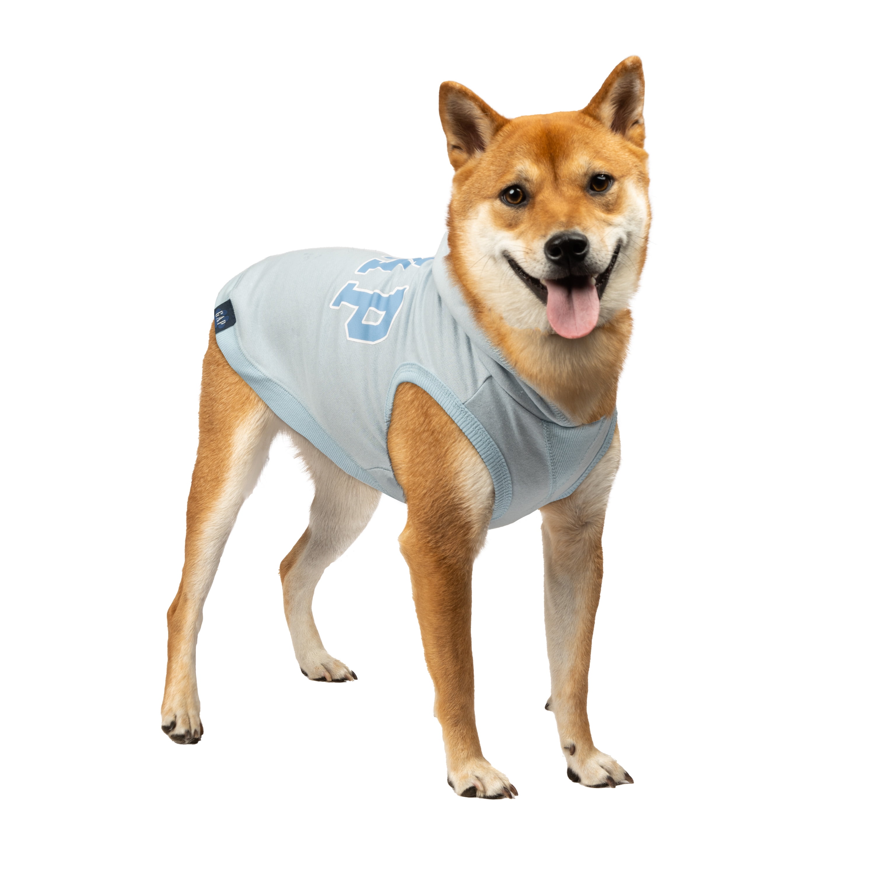 Gap Pet, Dog Clothes, Gap Classic Logo, Dog Hoodie, Blue, L - Walmart.com