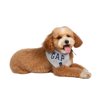 Gap Pet, Dog Clothes, Recycled Gray Sherpa Bear Ear Pet Hoodie ...