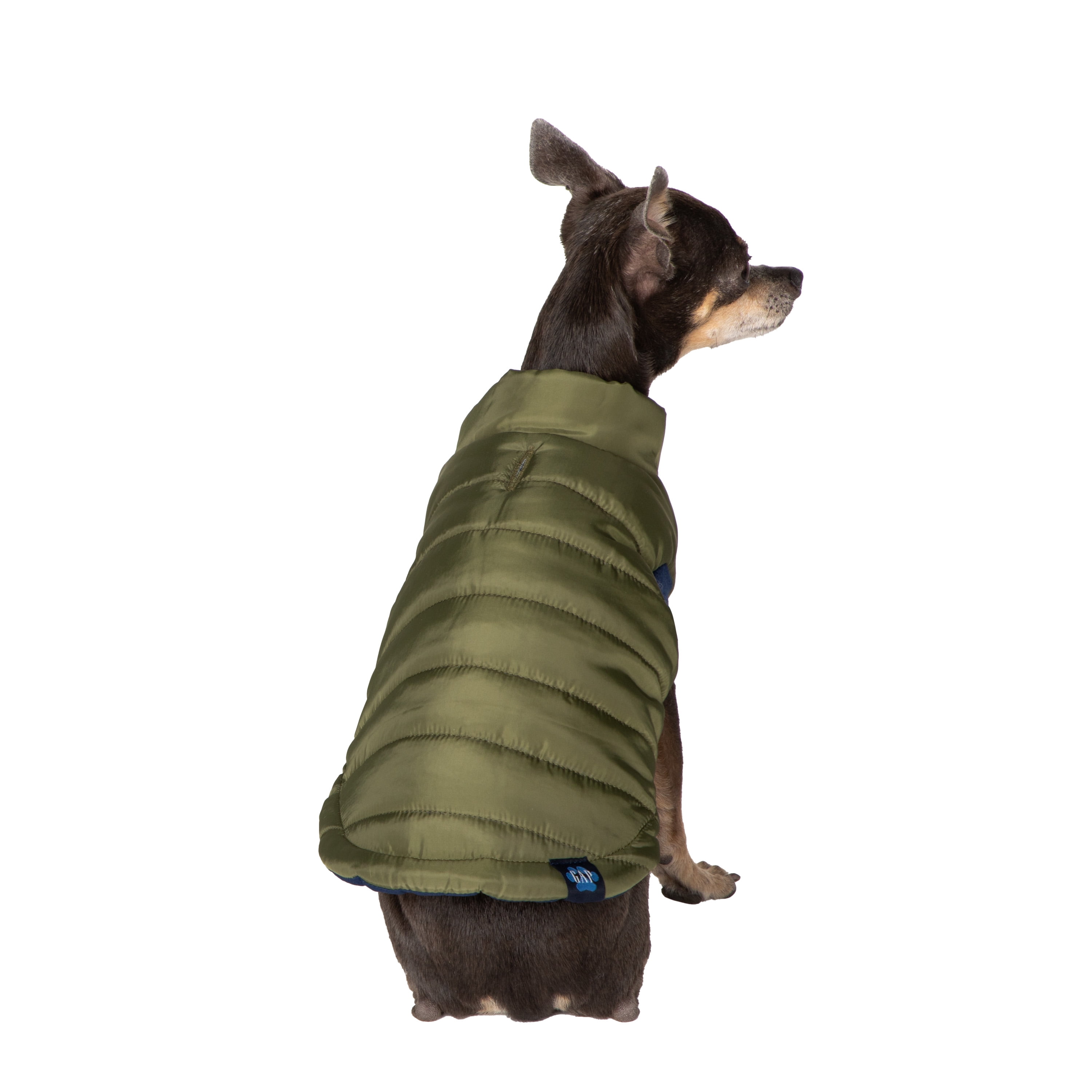 Gap Pet, Dog Clothes Green Bomber Pet Jacket - Walmart.com