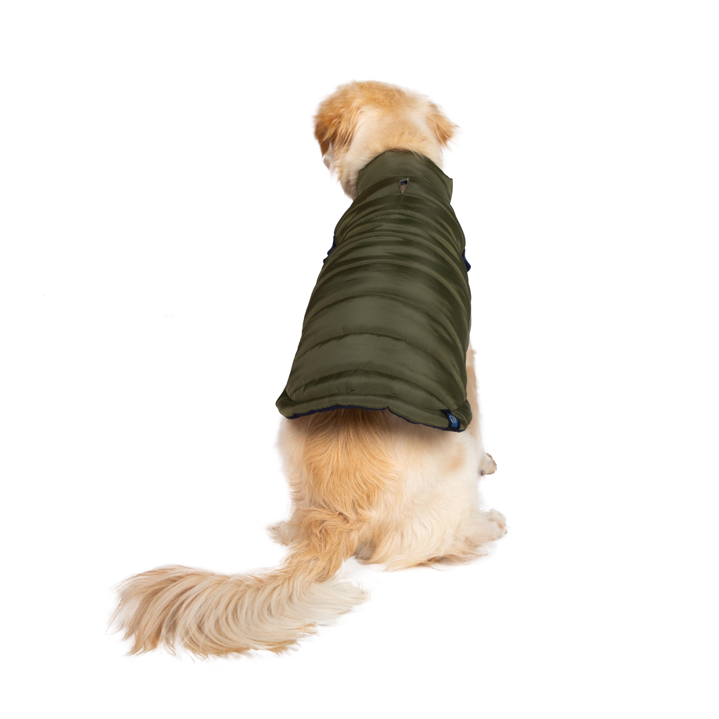Gap Pet, Dog Clothes Green Bomber Pet Jacket - Walmart.com