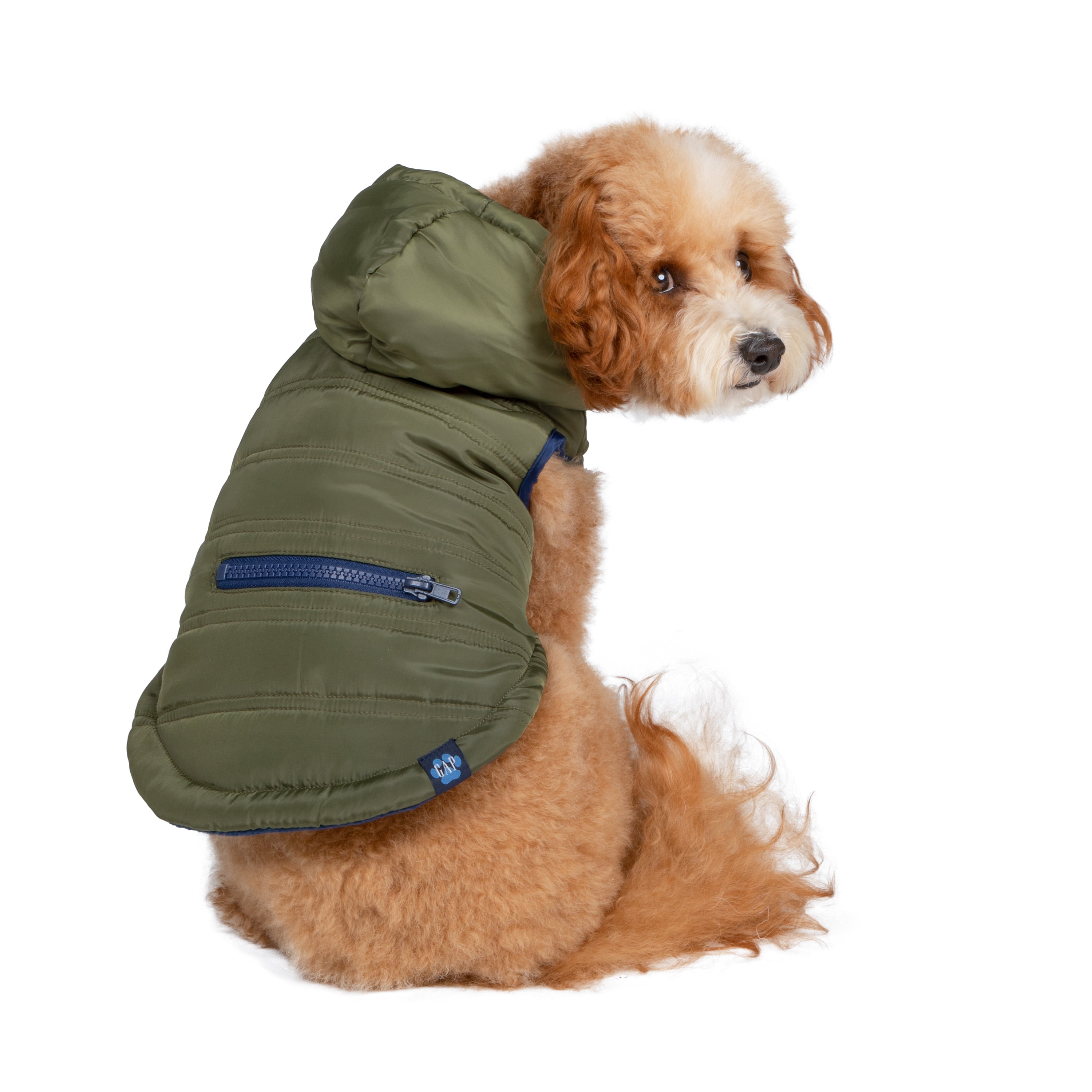 Gap Pet, Dog Clothes, Green Utility Pet Jacket - Walmart.com