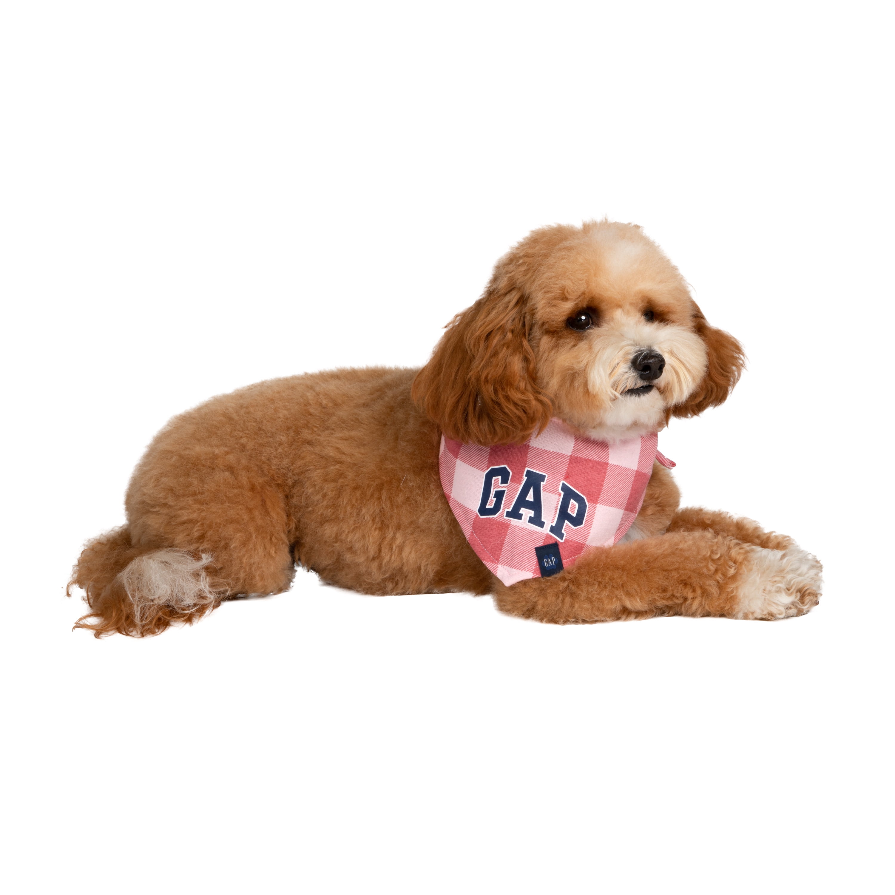 Gap Pet, Dog Clothes, Plaid Fleece Dog Bandana, Pink - Walmart.com
