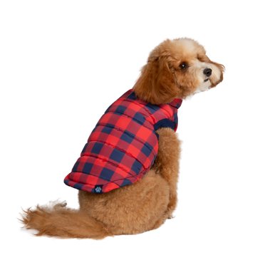 Gap Pet, Dog Clothes, Blue Classic Pet Hoodie - Walmart.com