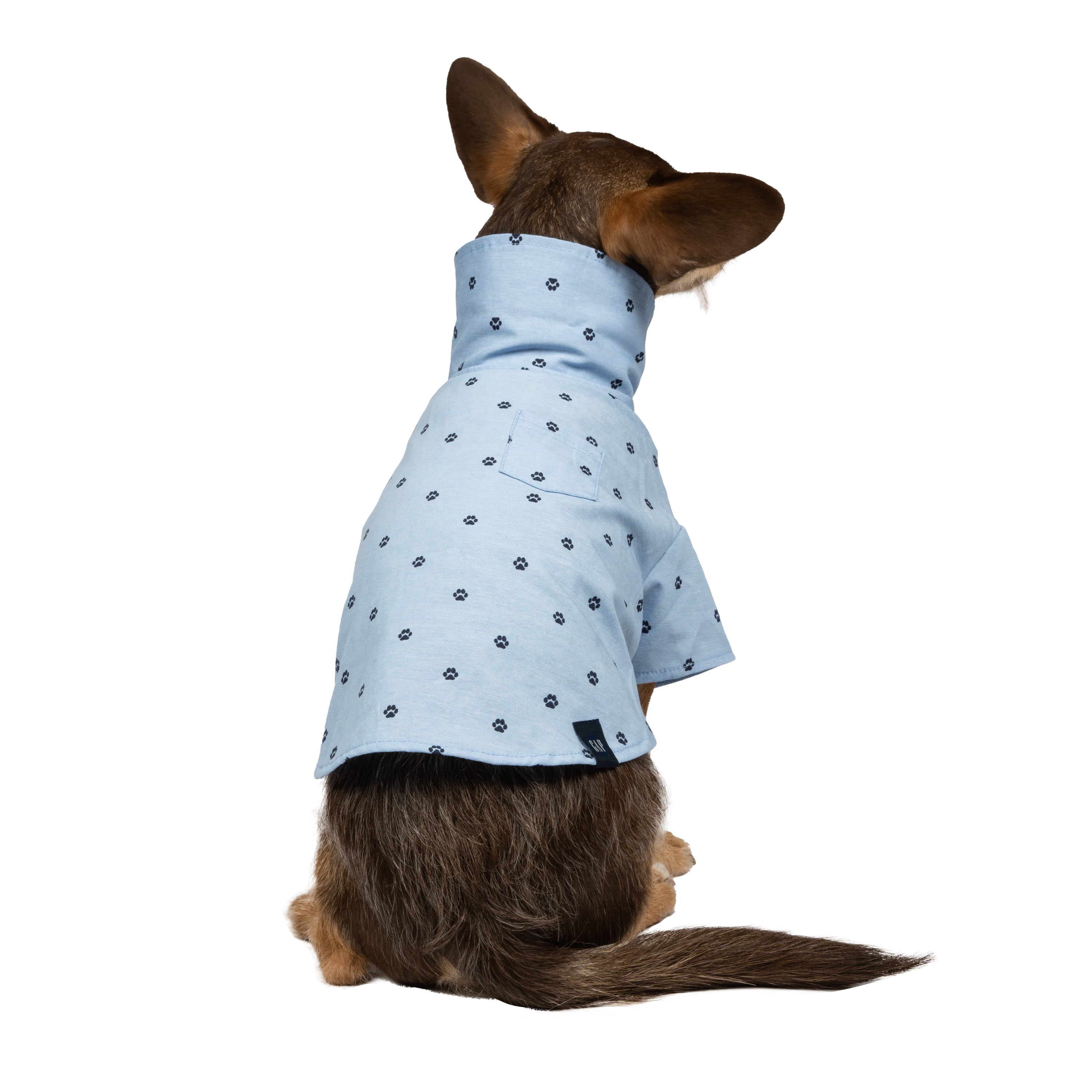 Gap Pet, Dog and Cat Clothes, Chambray Gap Pet T-Shirt, Blue, S ...