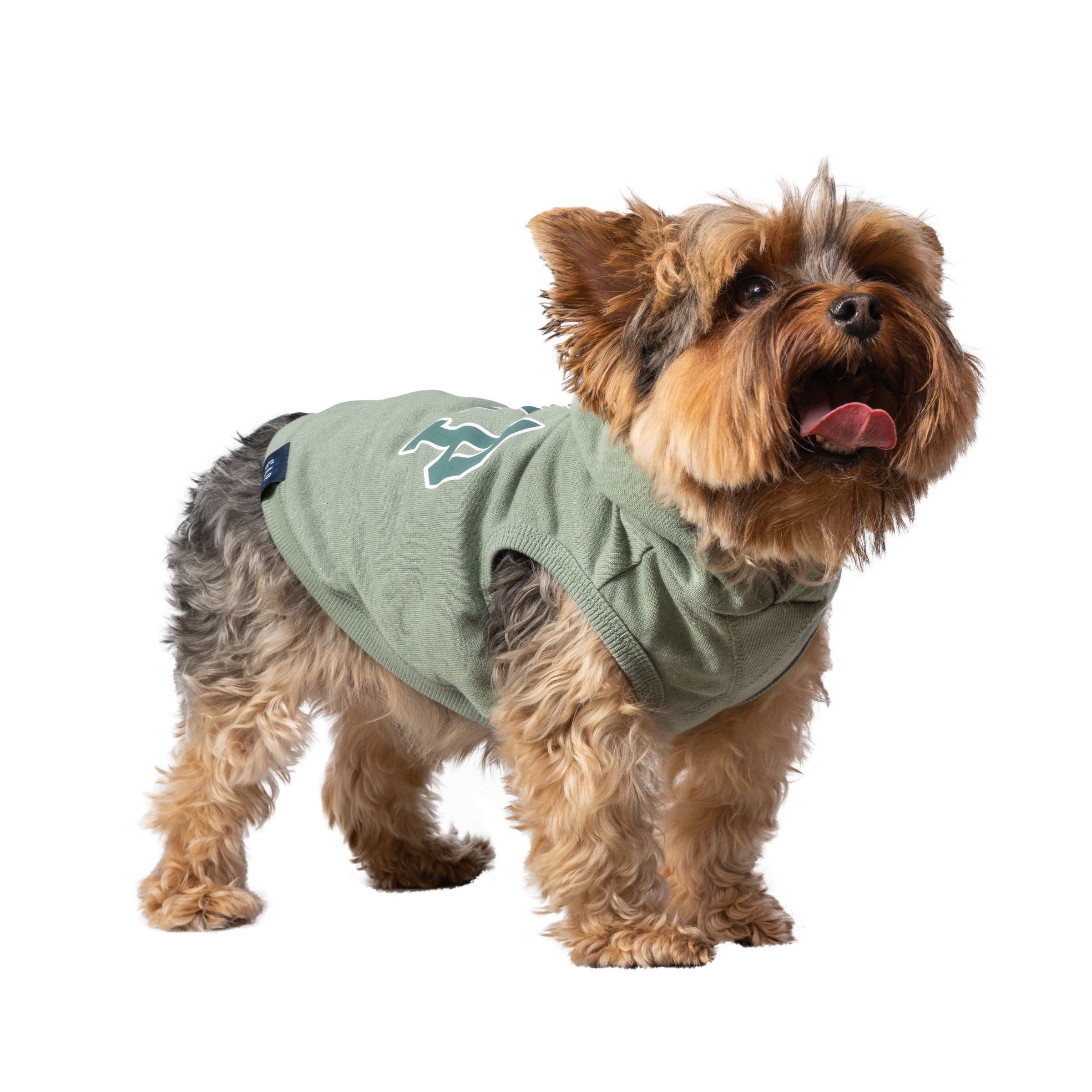 Gap Pet, Dog and Cat Clothes, Classic Logo Gap Dog Hoodie, Green ...
