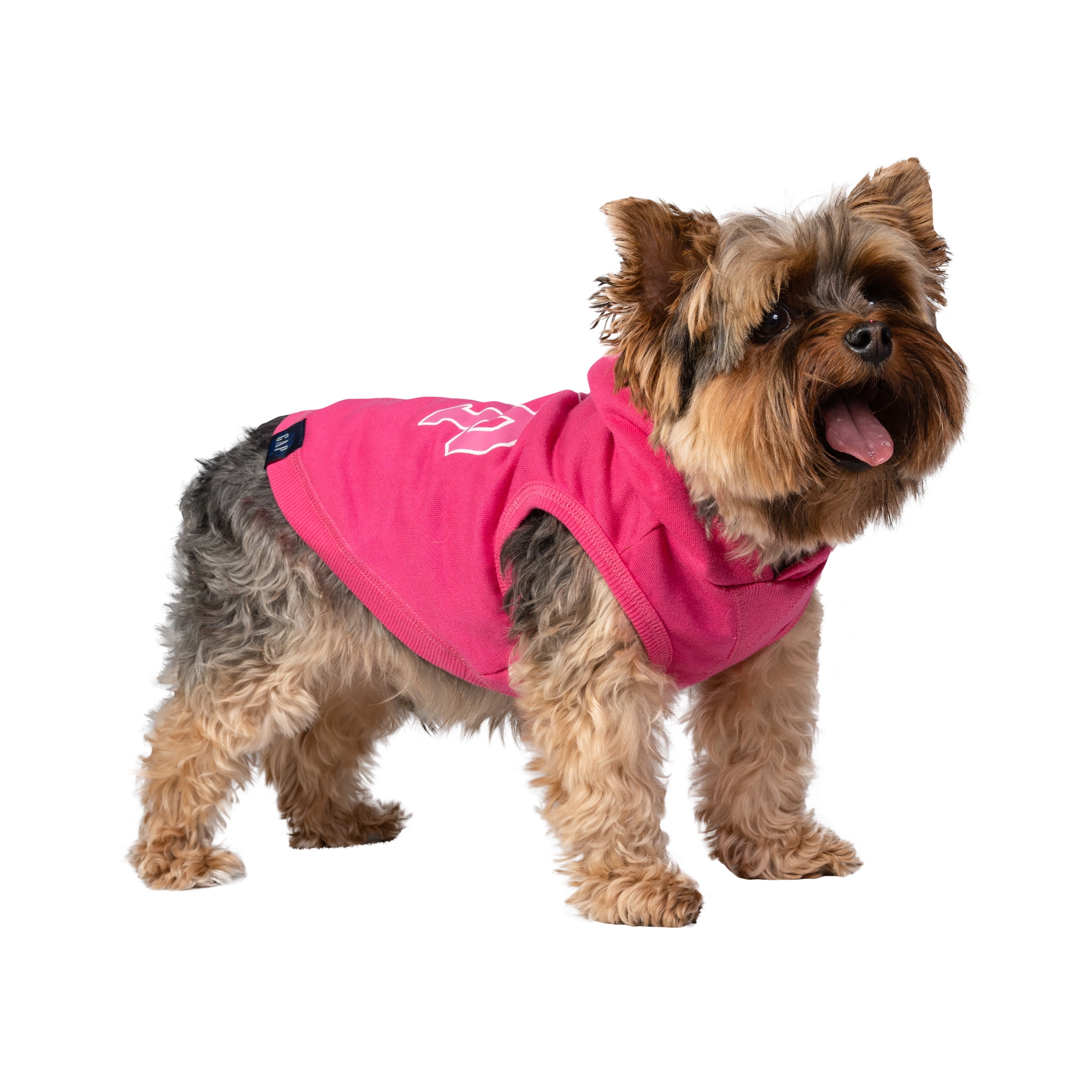 Gap Pet, Dog and Cat Clothes, Classic Logo Gap Dog Hoodie, Pink ...