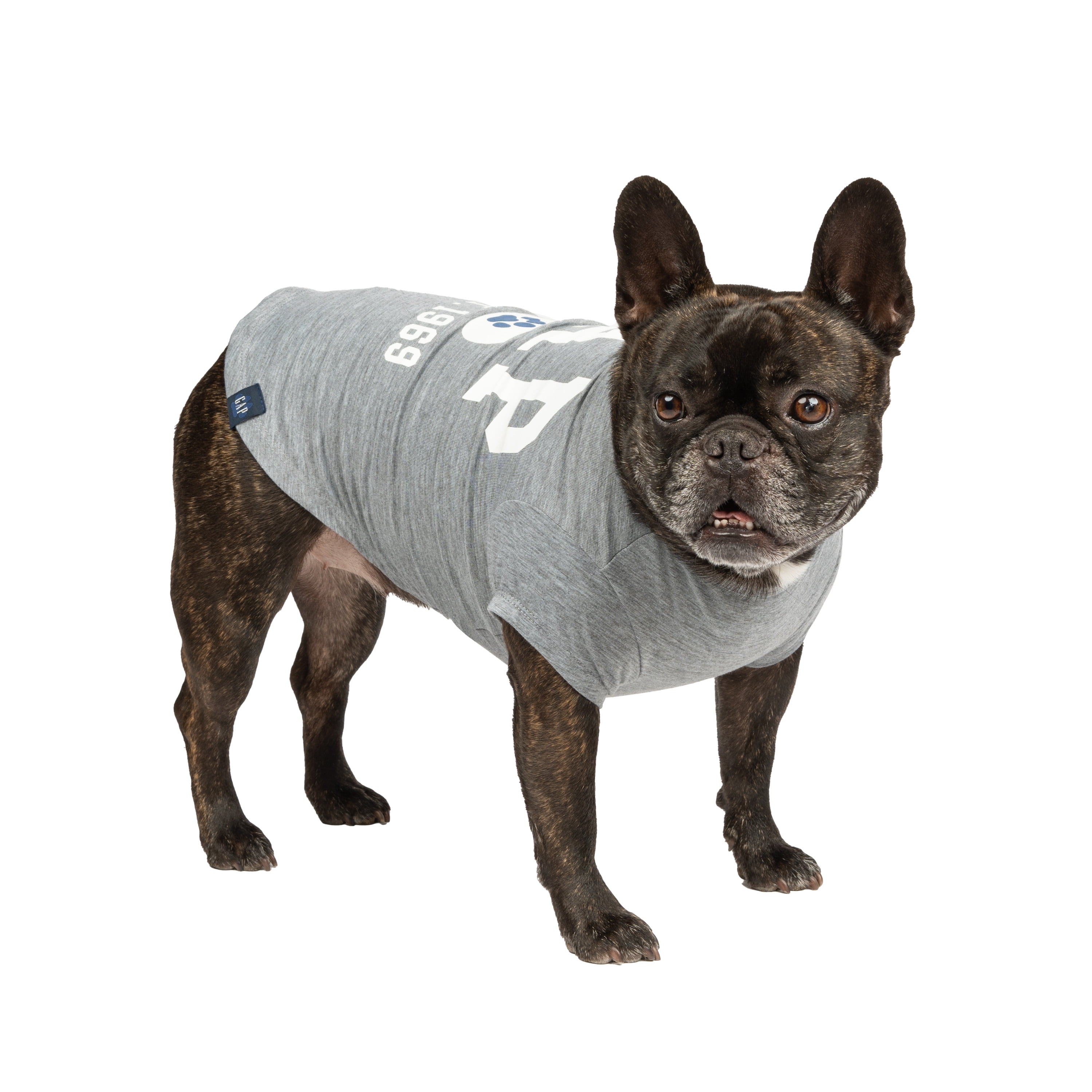 Gap Pet, Dog and Cat Clothes, Classic Logo Paw Print Gap Pet T-Shirt ...