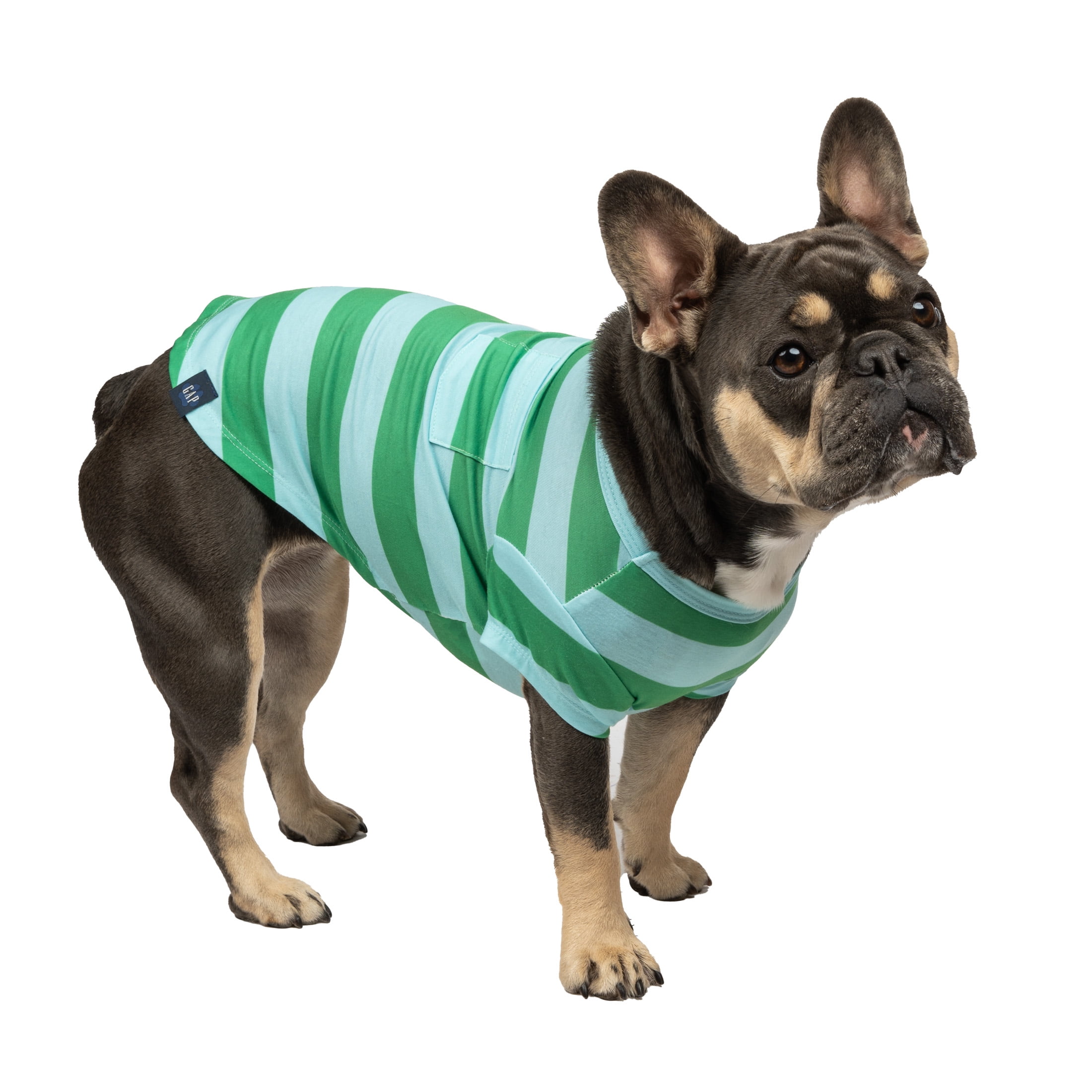 Gap Pet, Dog and Cat Clothes, Striped Pocket Gap Pet T-Shirt, Green ...