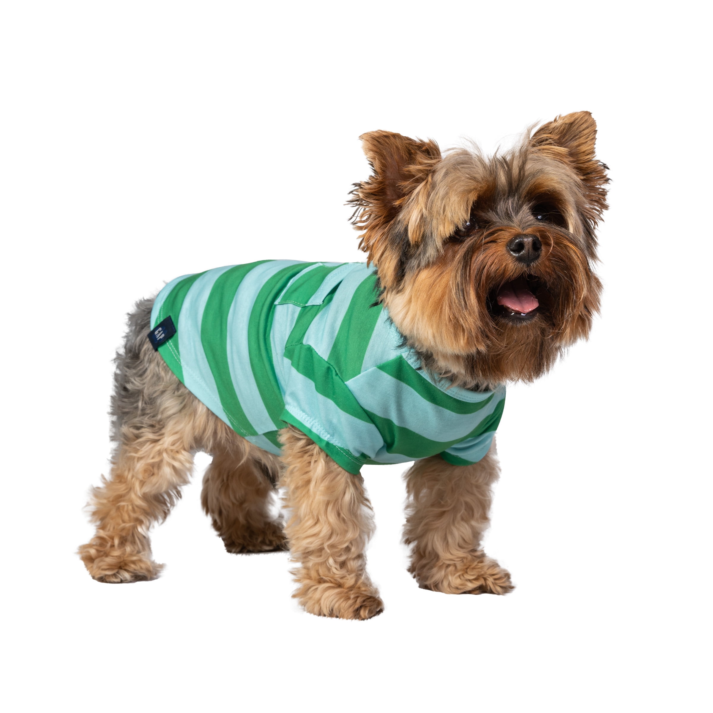 Gap Pet, Dog and Cat Clothes, Striped Pocket Gap Pet T-Shirt, Green, XS ...