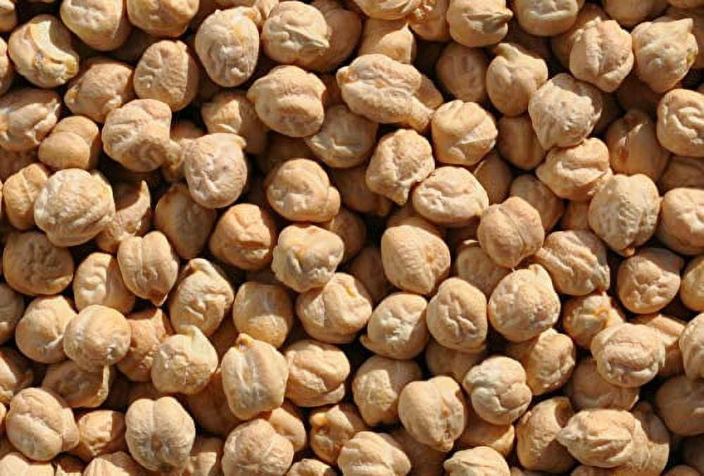 Garbanzo Beans, 10 lbs, Joseph's Grainery Garbanzo Beans (Chickpeas ...