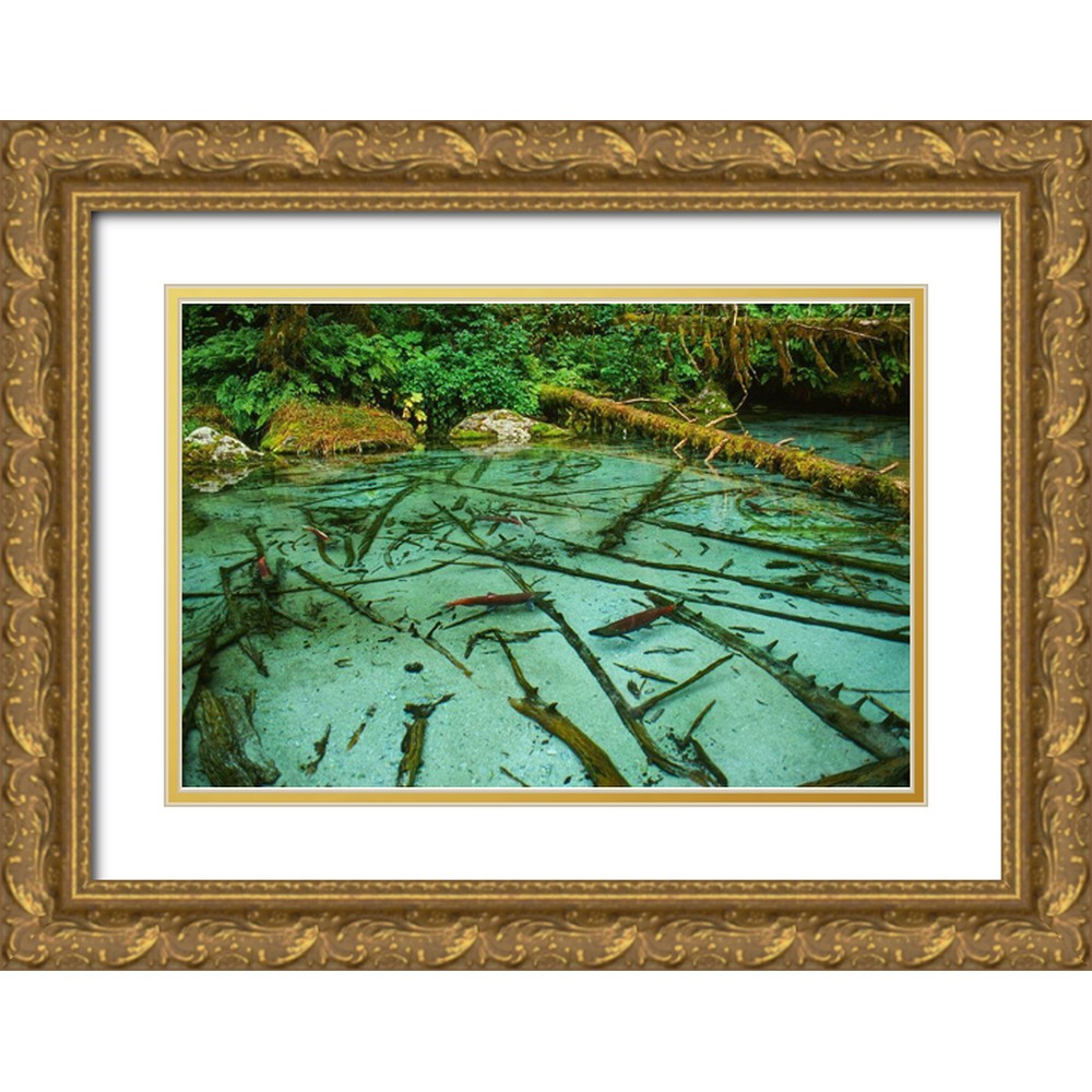 Garber, Howie 14x11 Gold Ornate Wood Framed with Double Matting Museum ...