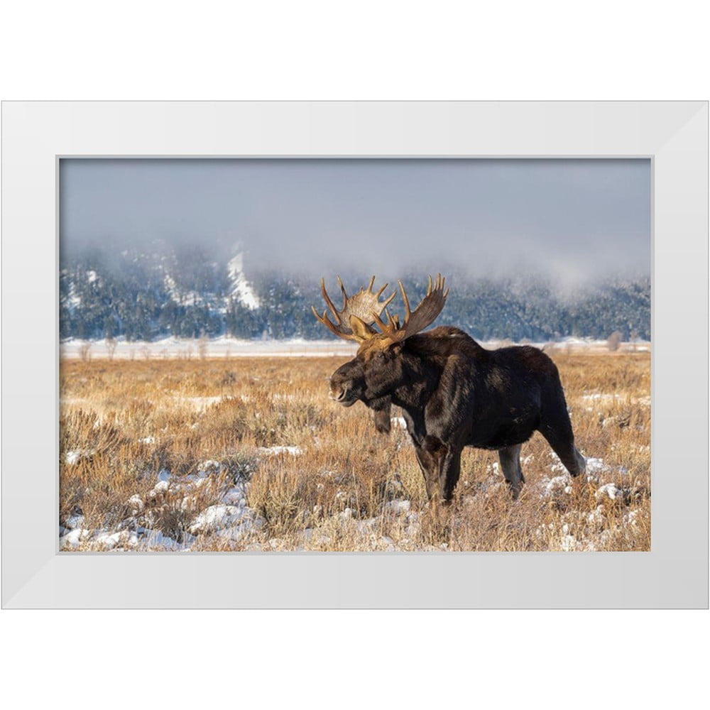 Garber, Howie 14x11 White Modern Wood Framed Museum Art Print Titled ...