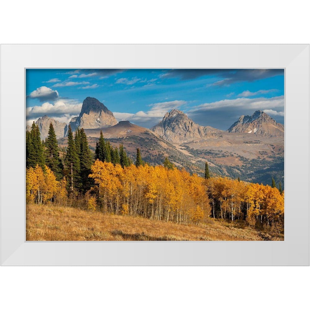 Garber, Howie 14x11 White Modern Wood Framed Museum Art Print Titled ...