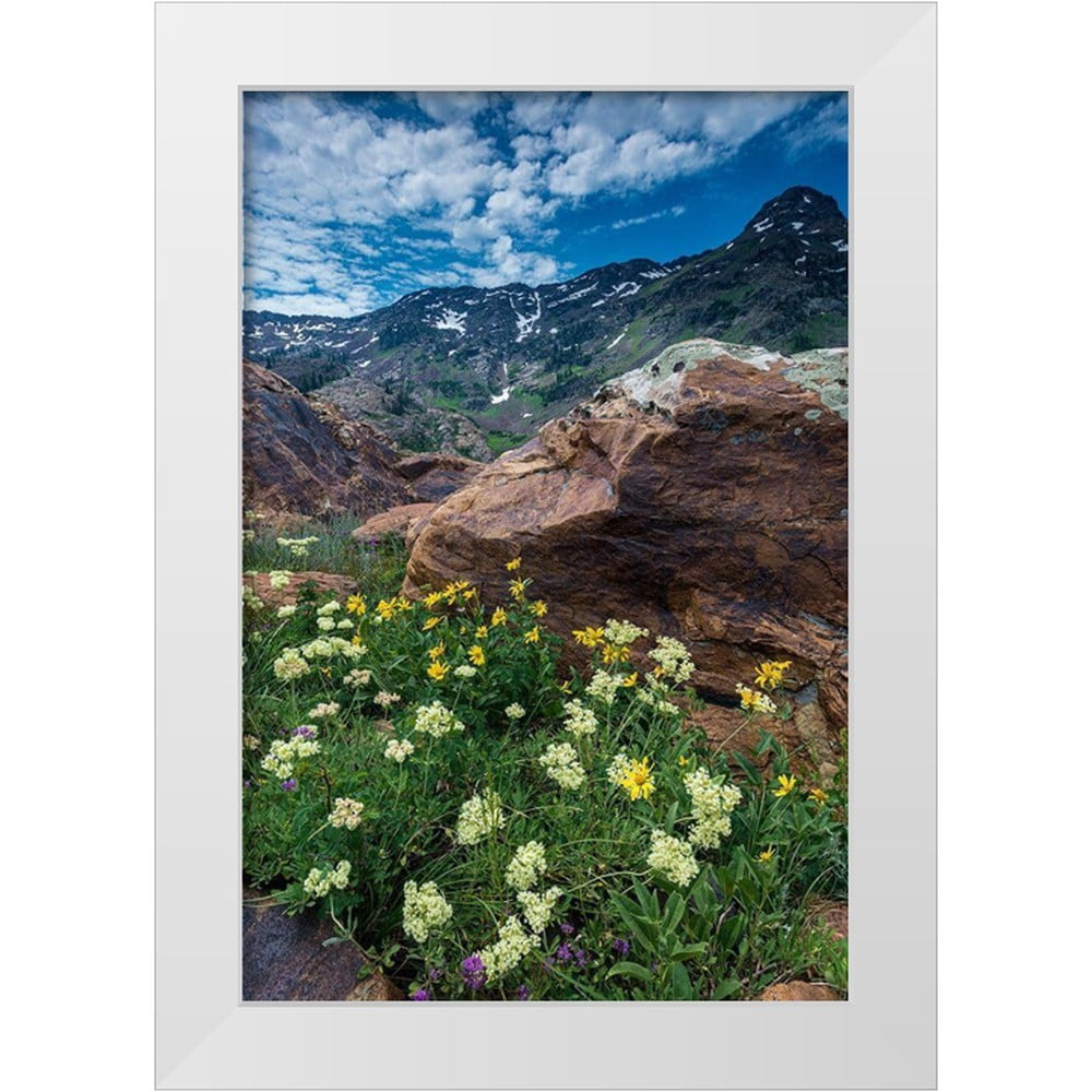 Garber, Howie 17x24 White Modern Wood Framed Museum Art Print Titled ...