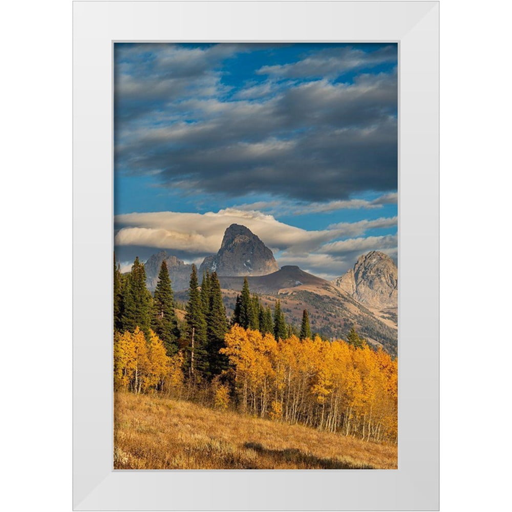 Garber, Howie 17x24 White Modern Wood Framed Museum Art Print Titled ...