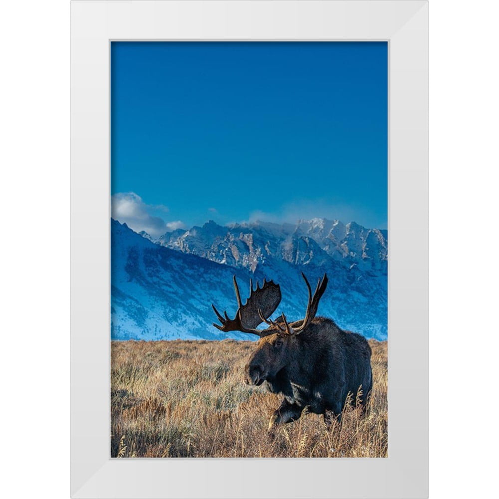 Garber, Howie 23x32 White Modern Wood Framed Museum Art Print Titled ...