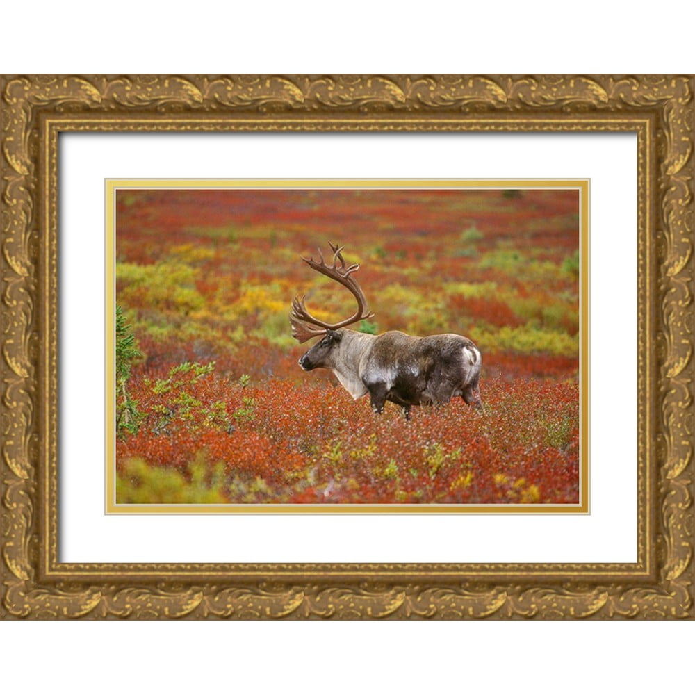 Garber, Howie 32x23 Gold Ornate Wood Framed with Double Matting Museum ...