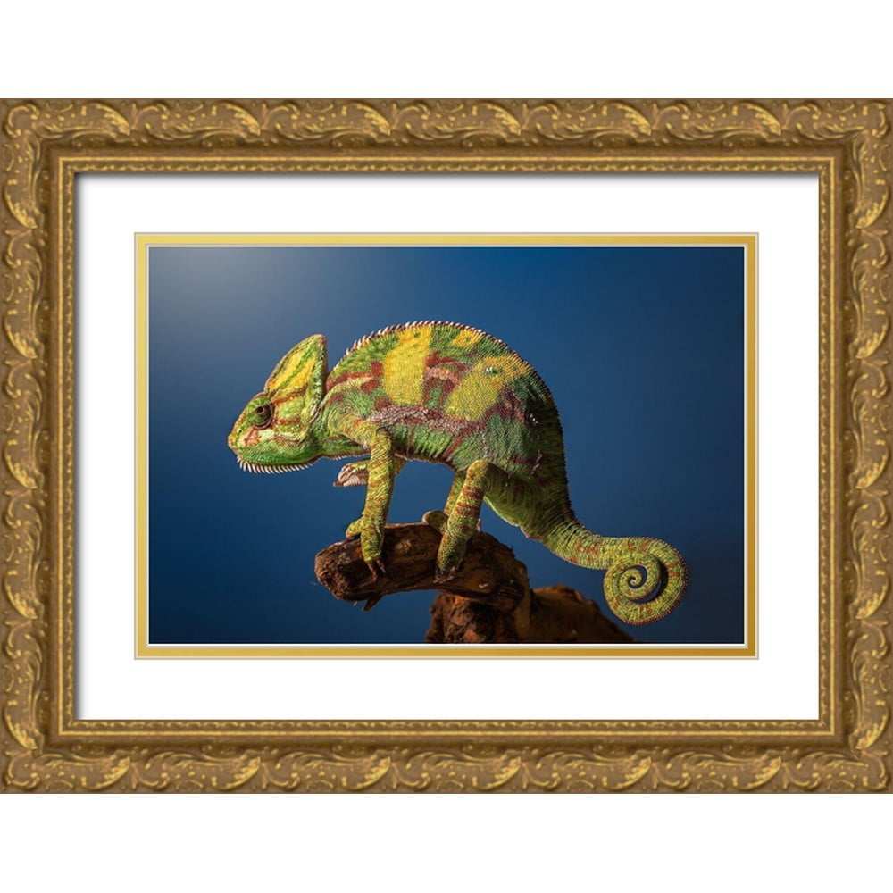 Garcia, Jose 14x11 Gold Ornate Wood Framed with Double Matting Museum ...