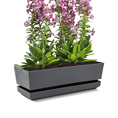 Garden 3 pcs 12 in Rectangular Window Boxes Planters, Planter Box with ...