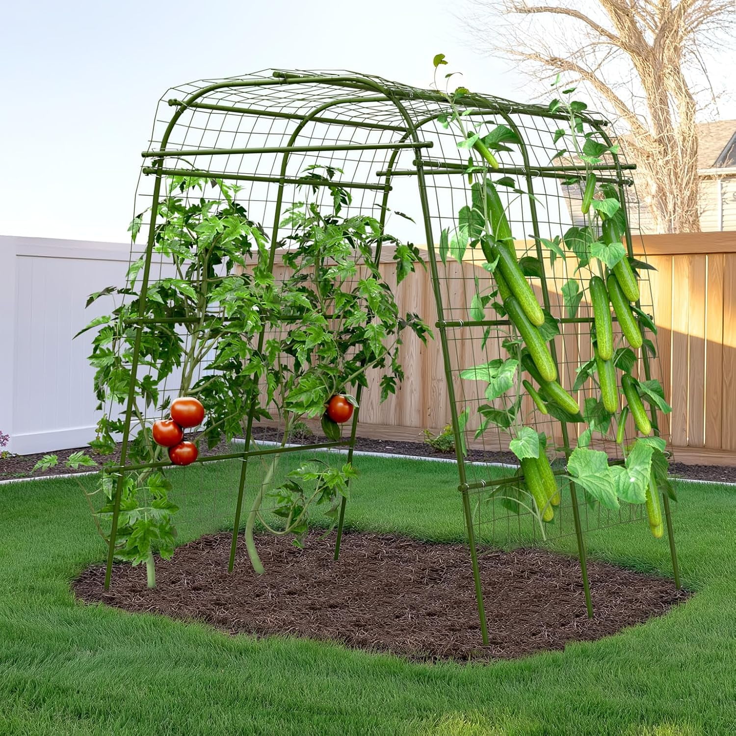 Garden Arch Trellis for Climbing Plants, 6.3 ft Tall Metal Cucumber ...