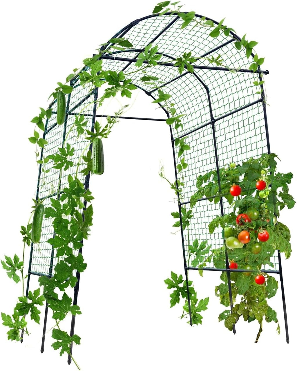 Garden Arch Trellis for Climbing Plants Outdoor, 7.8 ft Tall PE-Coated ...