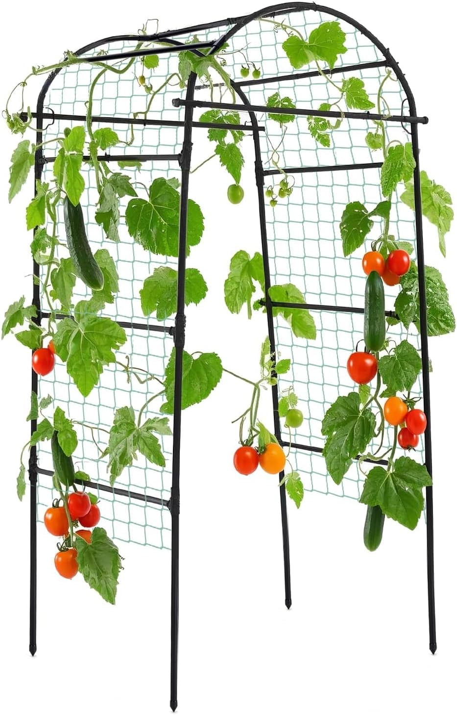 Garden Arch Trellis for Climbing Plants Outdoor, 80 Inch Tall Grape ...