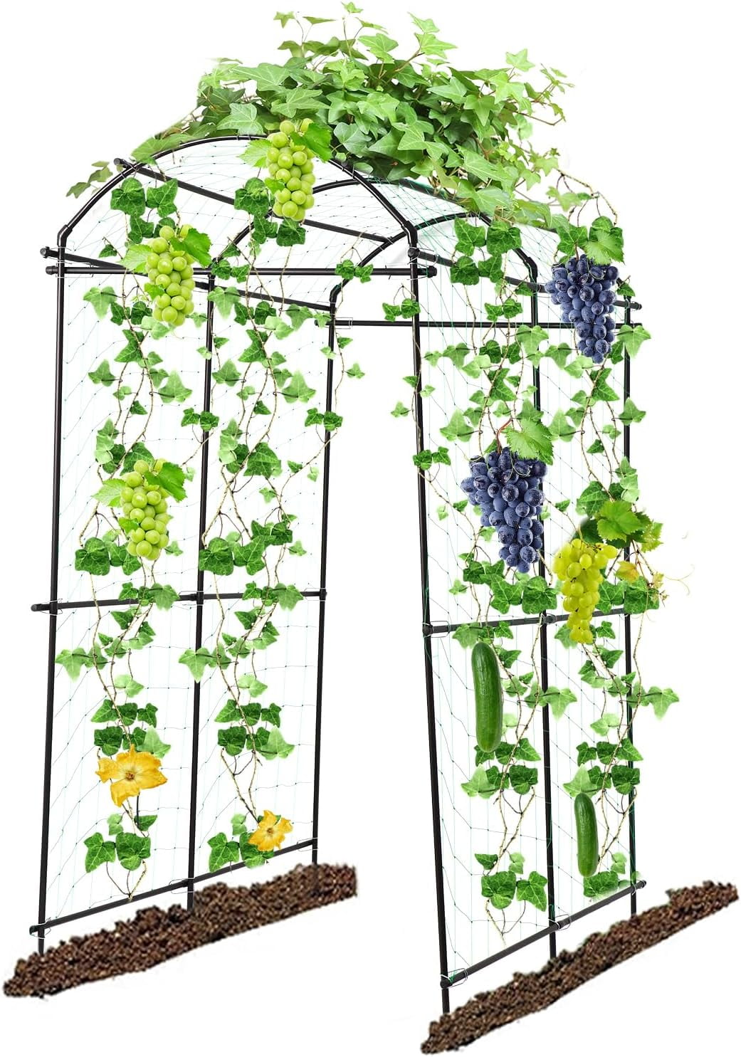 Garden Arch Trellis for Climbing Plants, Climber Roses & Grapes, Black ...
