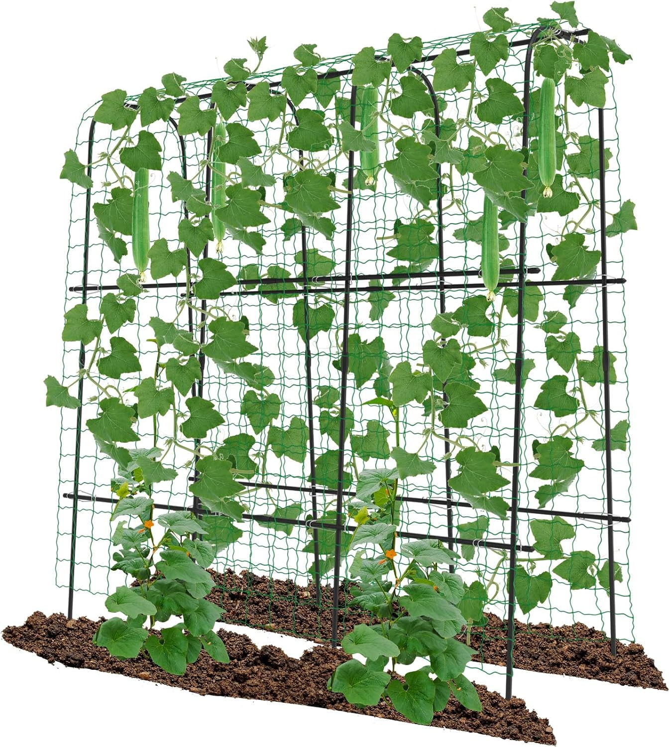 Garden Arch Trellis, Metal Core Trellis for Climbing Plants Outdoor, 71 ...