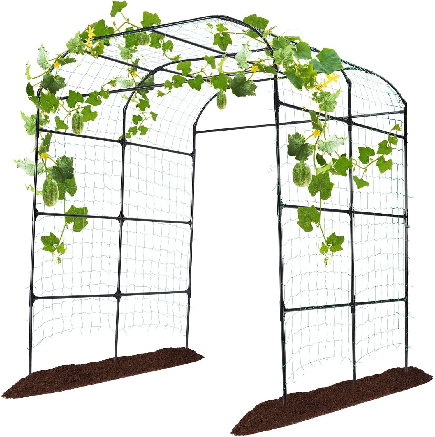 Garden Arch Trellis for Climbing Plants Outdoor, Cucumber Trellis for ...