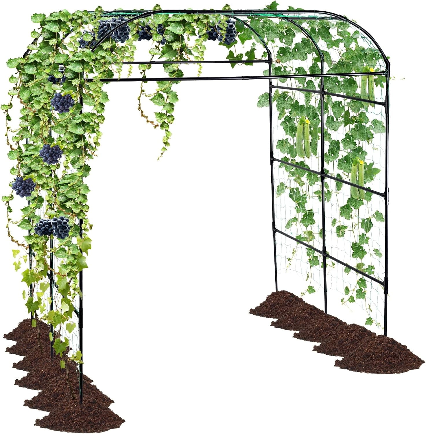 Garden Arch Trellis for Climbing Plants Outdoor, Grape Vine Tomato Bean ...