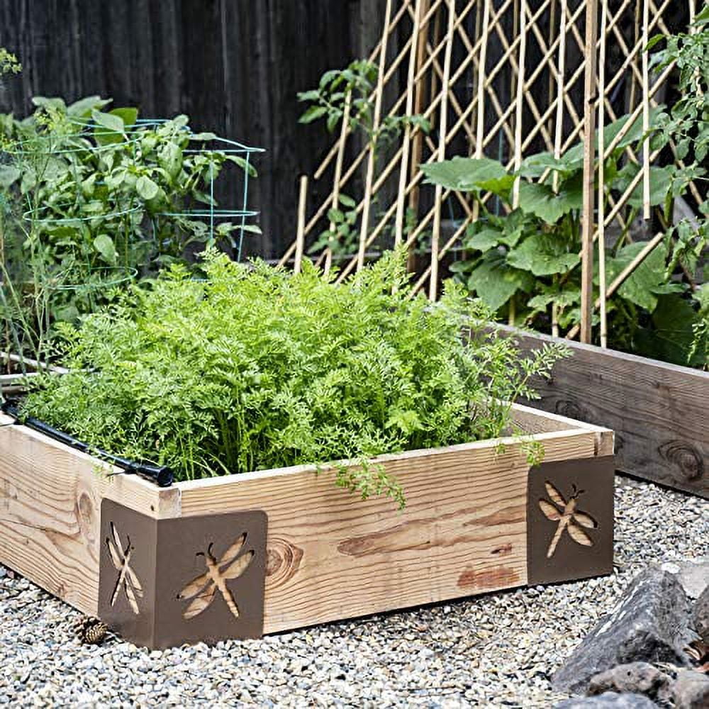 Garden Bloom 11023BL Bloom Dragonfly Instabrace Garden Flower Raised ...