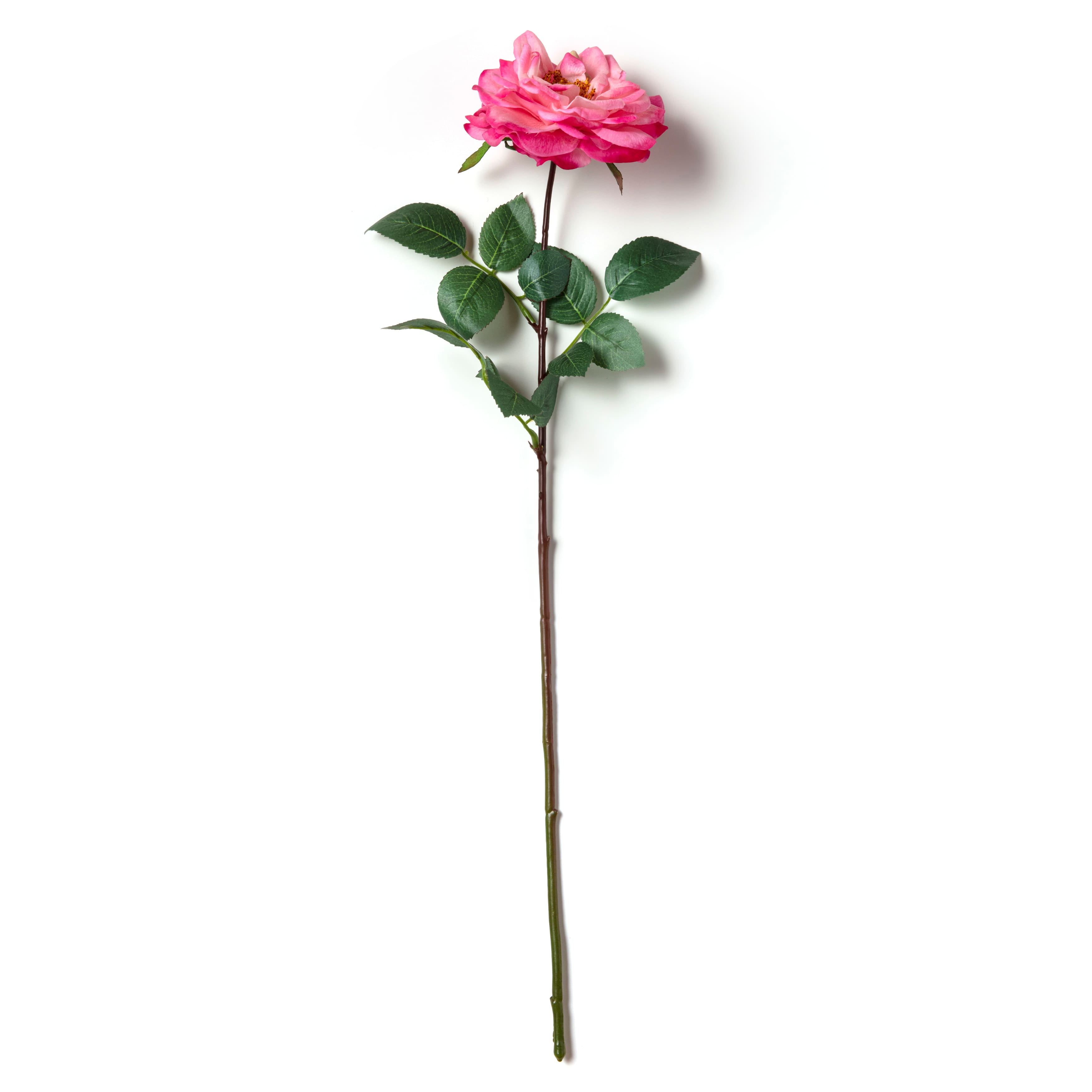 Garden Bloom Orlane Rose Stem Ashland™ - Walmart.com