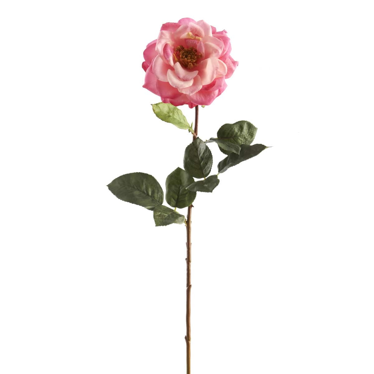 Garden Bloom Orlane Rose Stem Ashland™ - Walmart.com