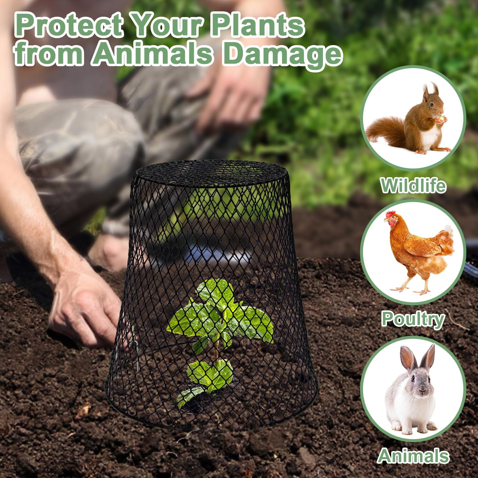 Garden Cloche, CHOII 5 pieces Chicken Wire Plant Covers Plant Protectors from Animals Chicken ...
