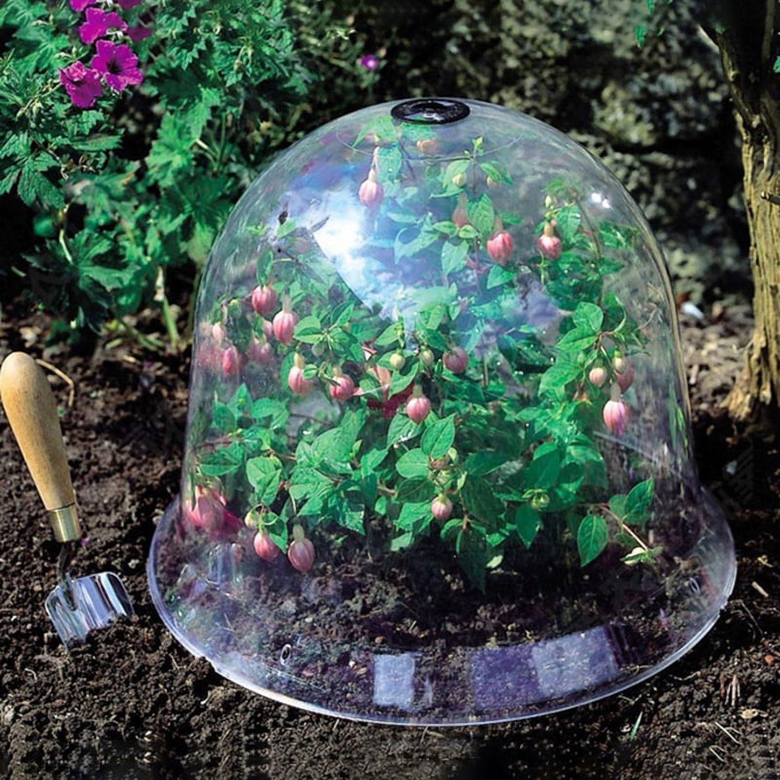 Greenhouse Garden Cloche Dome, Plant Bell Protector for Small ...