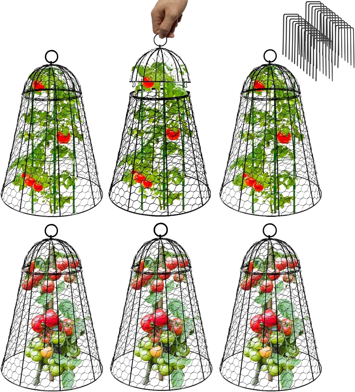 Garden Cloches for Plants Extra Large Garden Cloche Chicken Wire Cloche ...