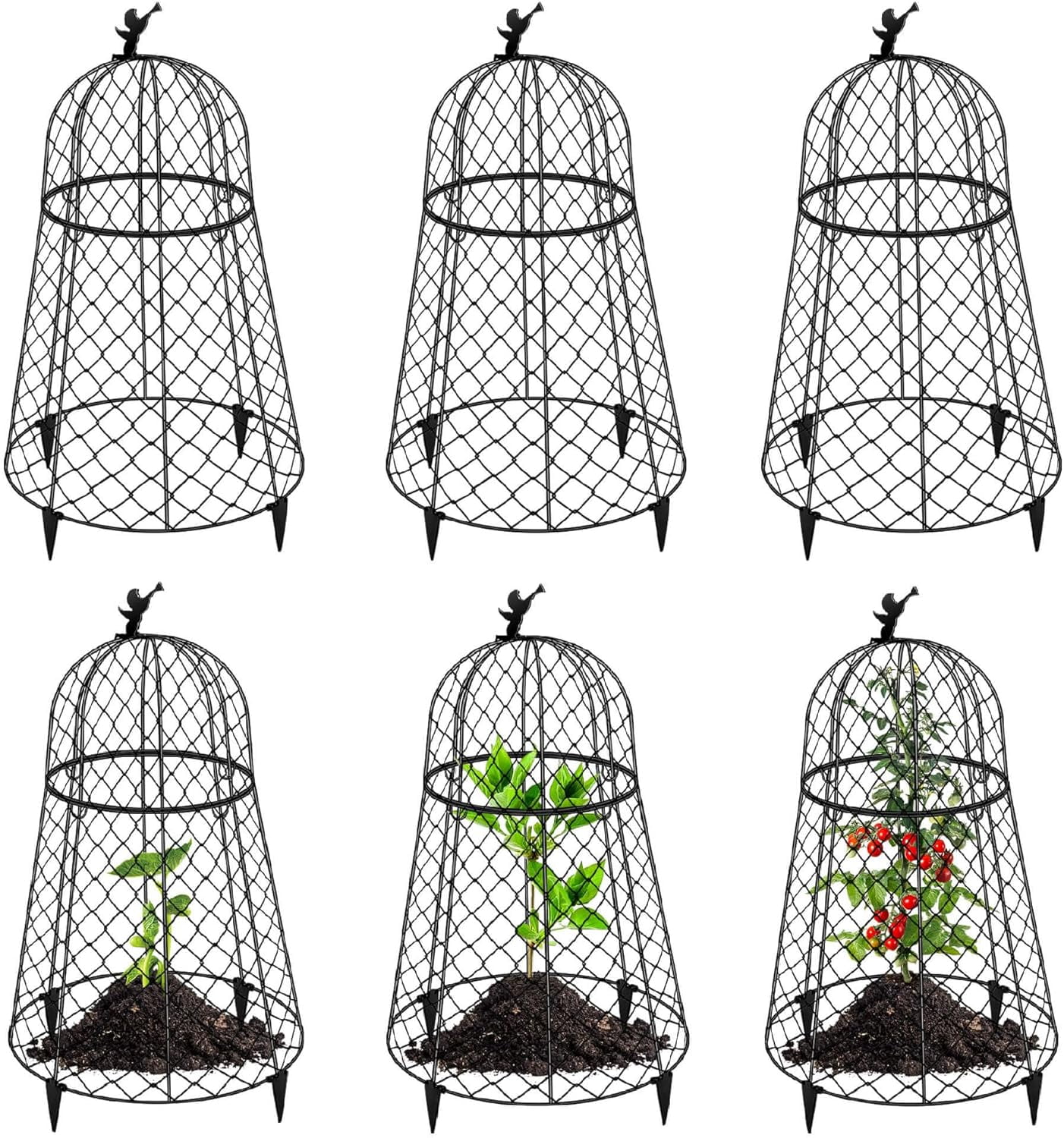 Garden Cloches for Plants, Plant Protectors from Animals, Rustproof ...