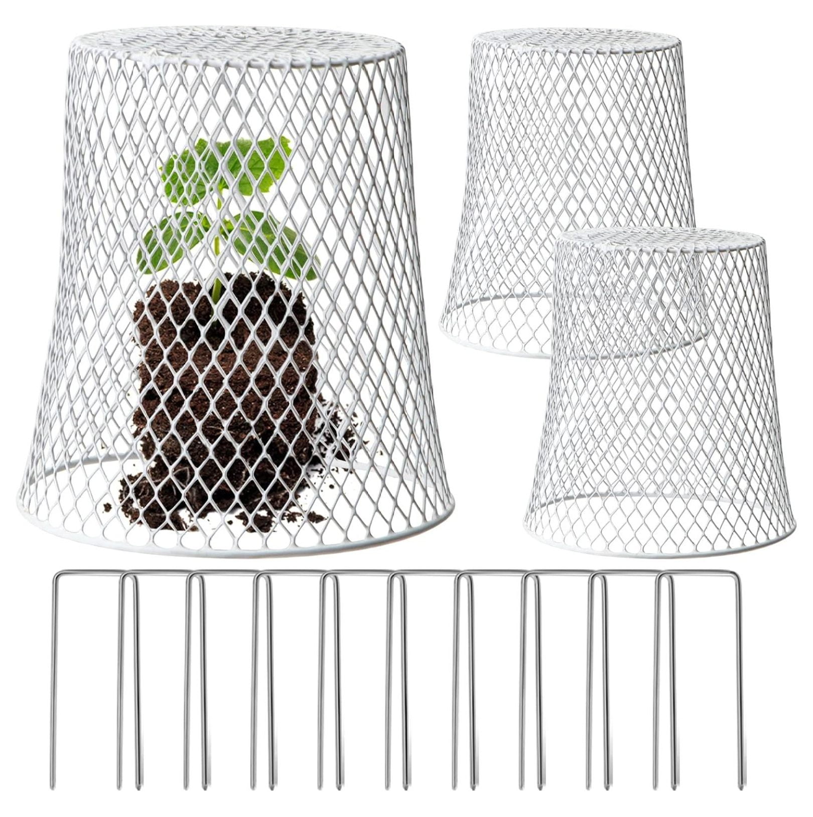 Garden Cloches for Plants Chicken Wire Cloche Plant Protector Cover ...