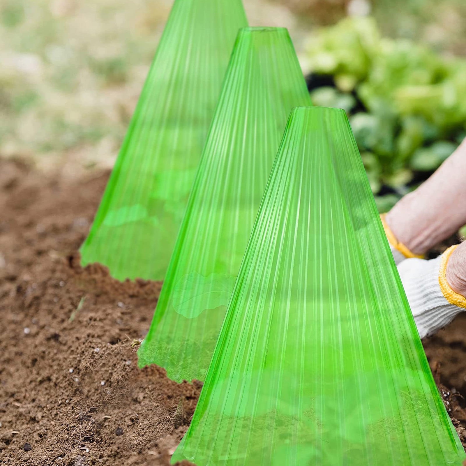 Garden Cloches for Plants, Plant Covers Plant Protectors Transparent ...