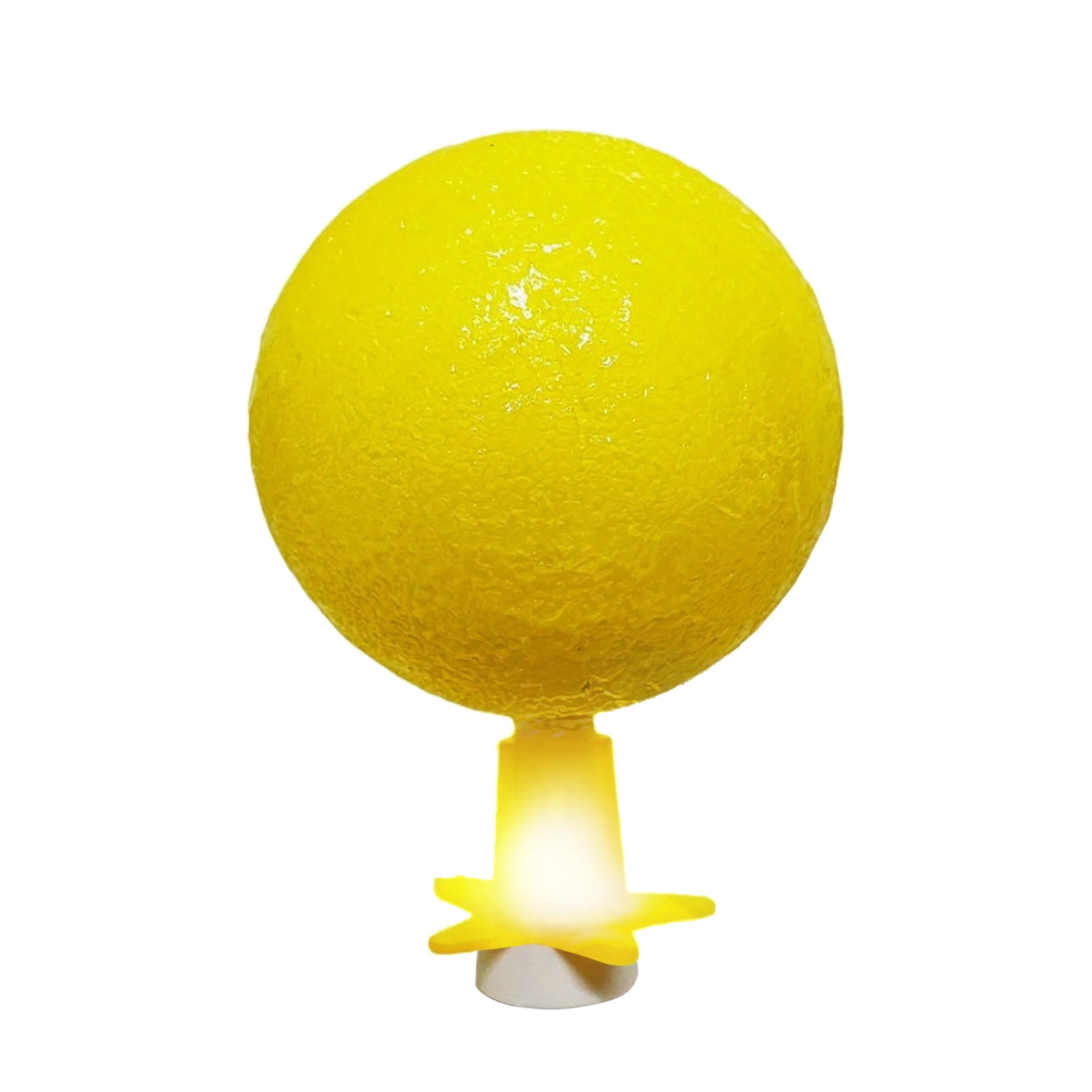 Garden Decor Fruit Fly Sticky Trap Gnat Catcher Gnat Trap Indoor ...