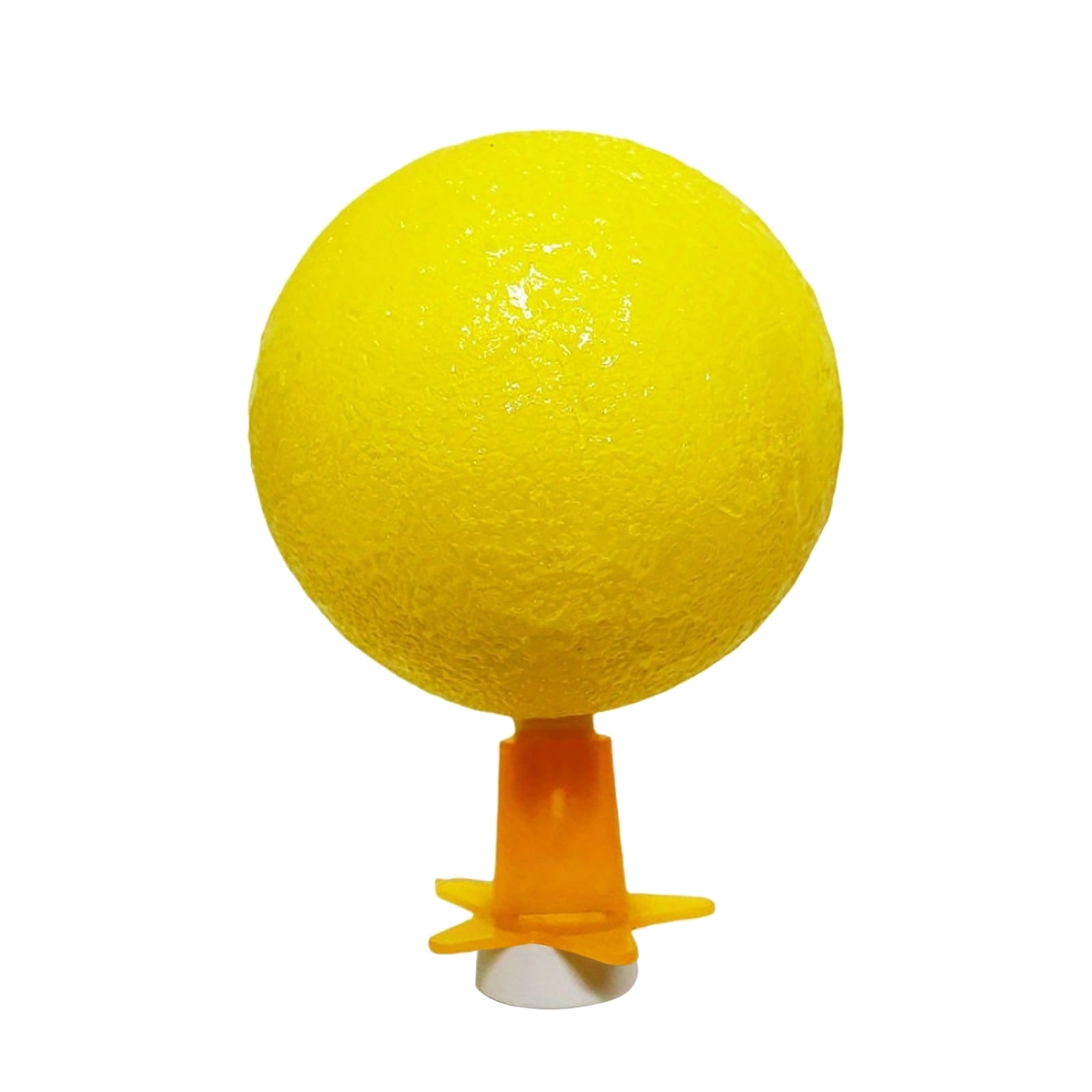 Garden Decor Fruit Fly Sticky Trap Gnat Catcher Gnat Trap Indoor ...