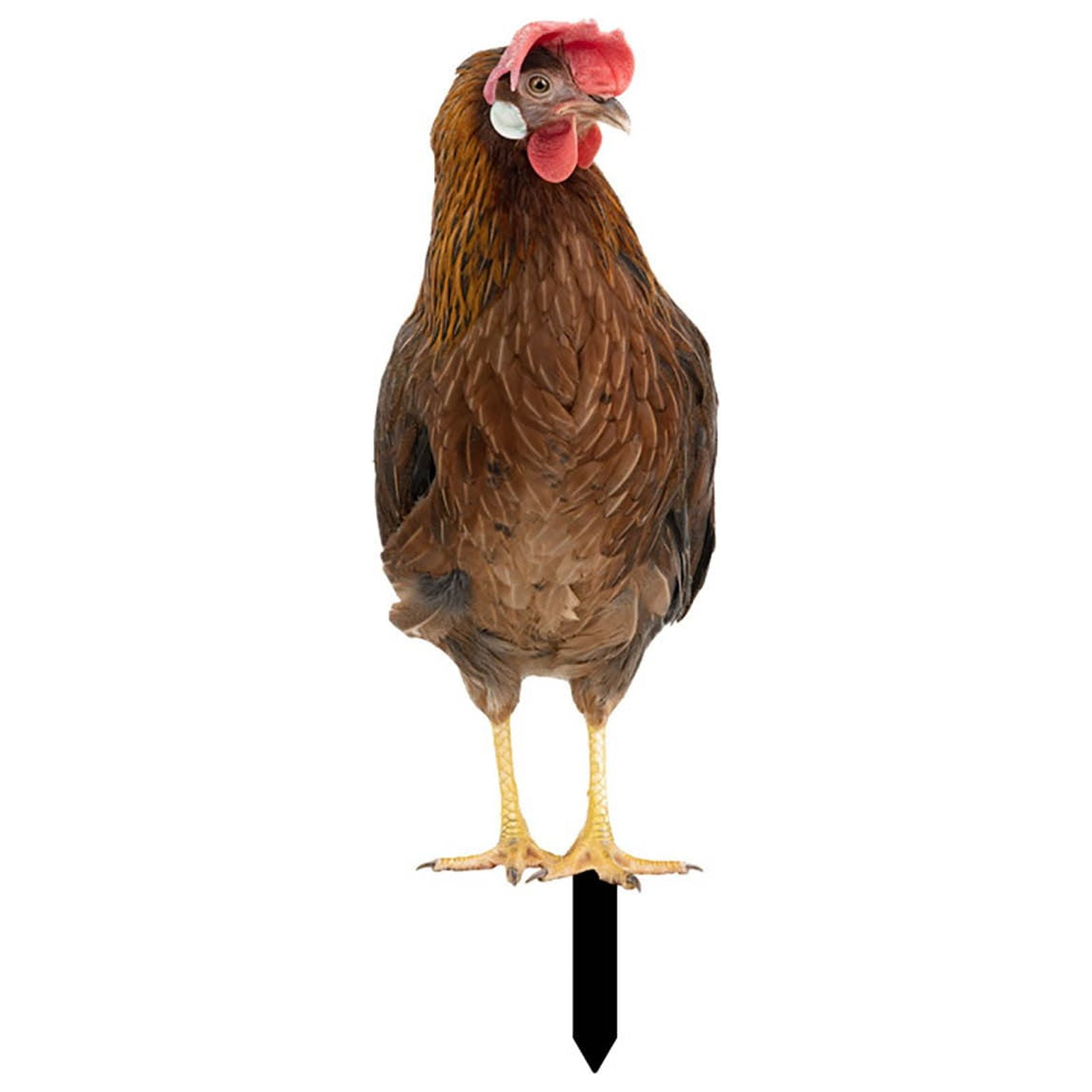 Garden Decoration Fun Plug In Rooster Hen Courtyard Plug In Yard Art ...