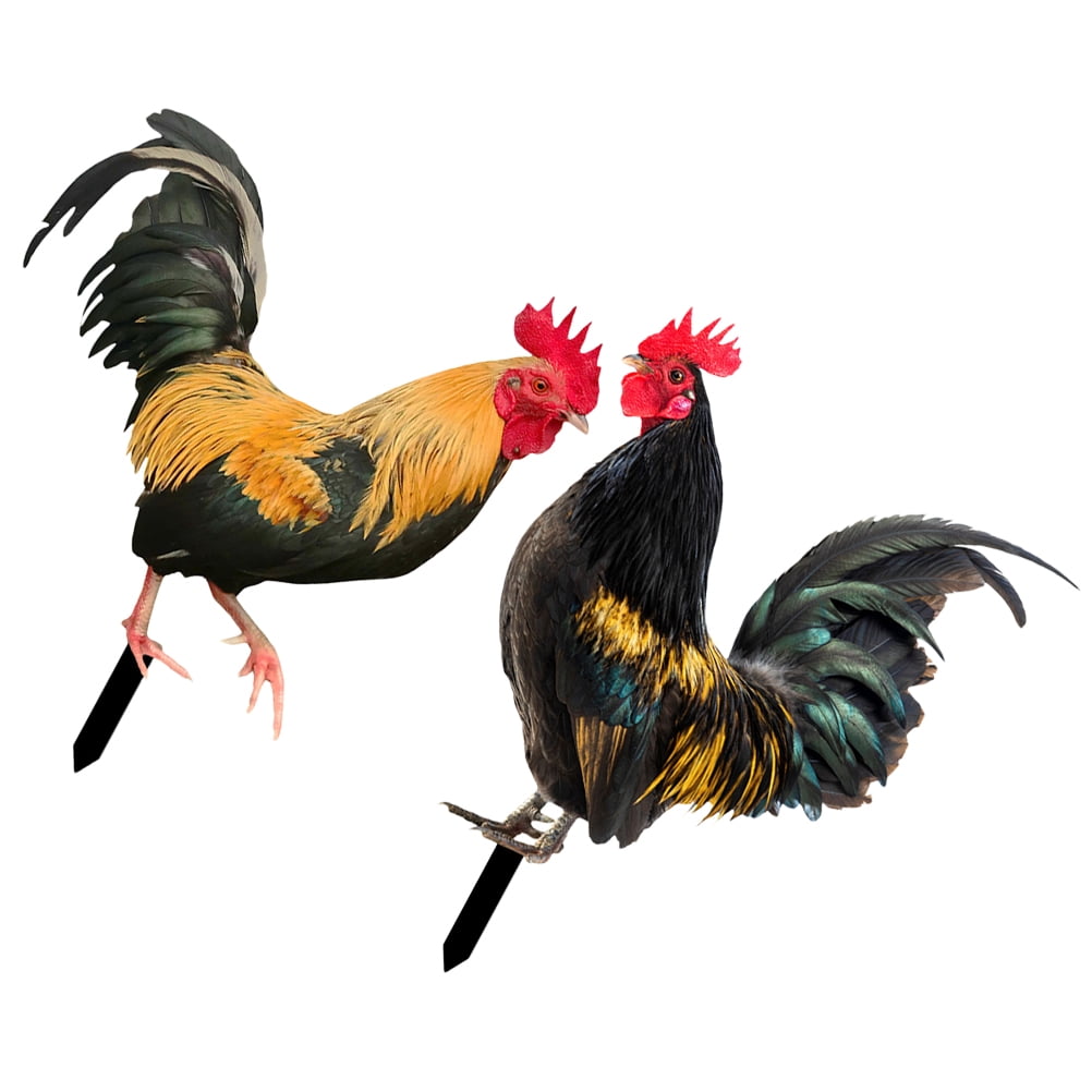 Garden Decoration Insert Lawn Chicken Acrylic Decore Farmhouse Style ...