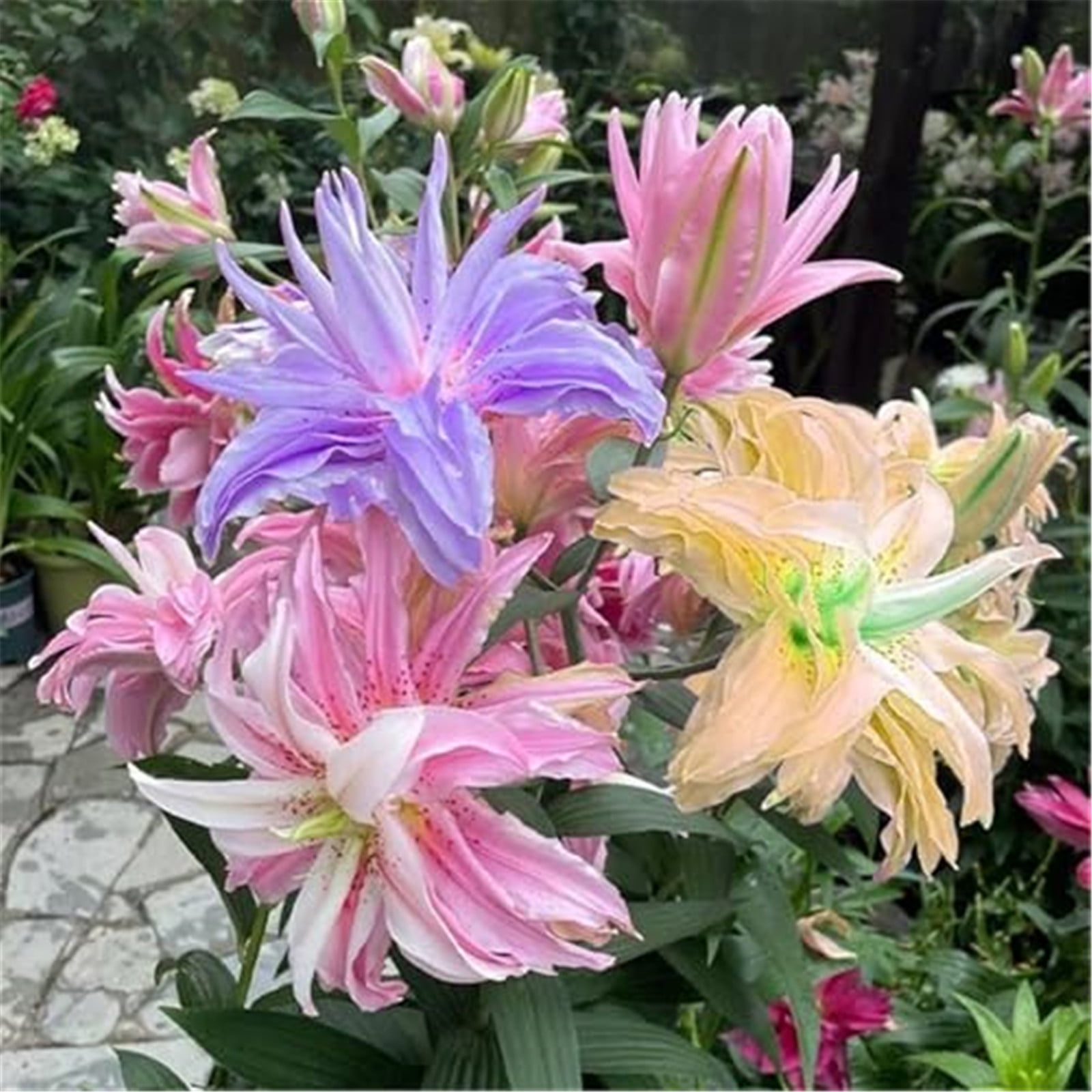 Garden Decoration (Lily) Courtyard decoration Home Decoration Beautify ...