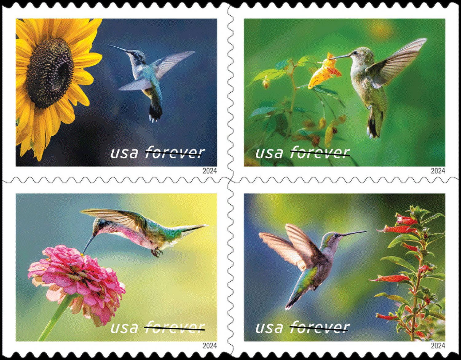 USPS Forever Stamps, 40 First-Class Postage Stamps, Hummingbirds and Flowers - Walmart.com