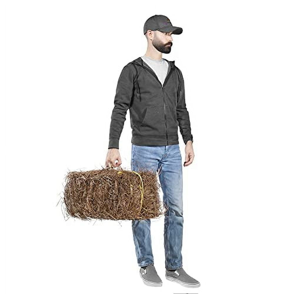 Garden Elements Long Leaf Pine Straw Bale for Mulch, Soil Amendment and ...