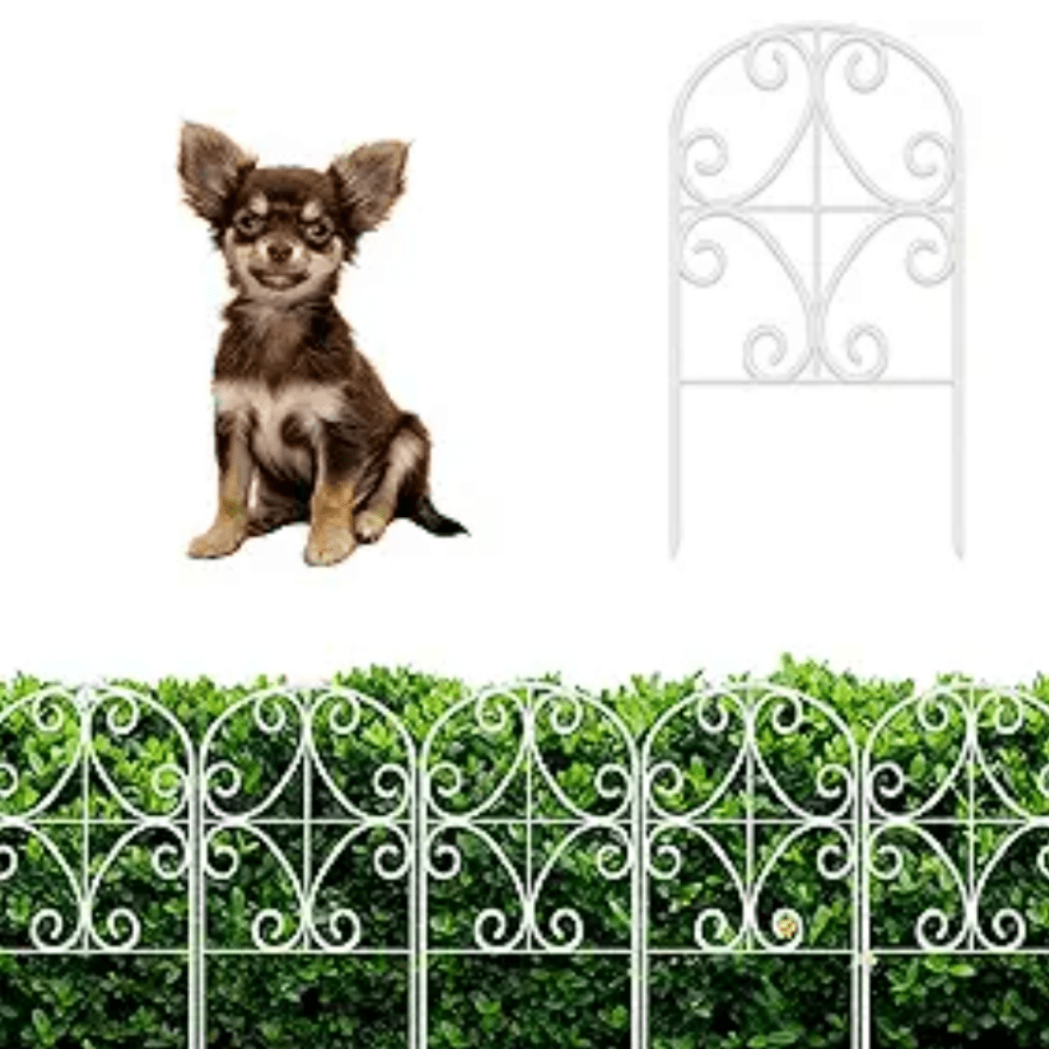 Garden Fence Border Animal Barrier (10 Panels), 12in(L) x 24in(H) Wire ...