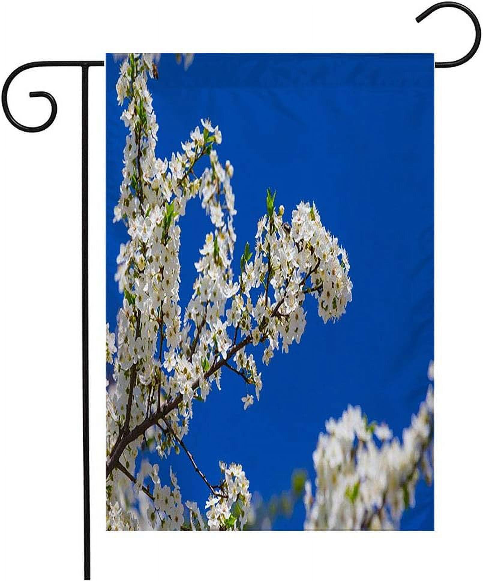 Garden Flag Welcome Flag Blue Apricot Beautiful Closeup Bud Cherry Tree ...