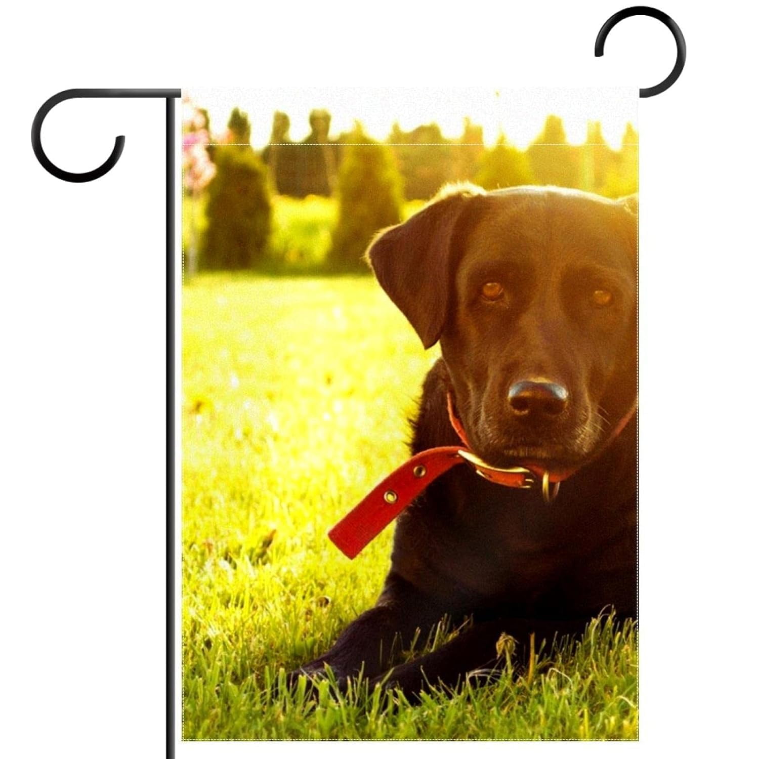 Garden Flags Double Sided,Outside Yard Flags,sunshine black dog,Large ...